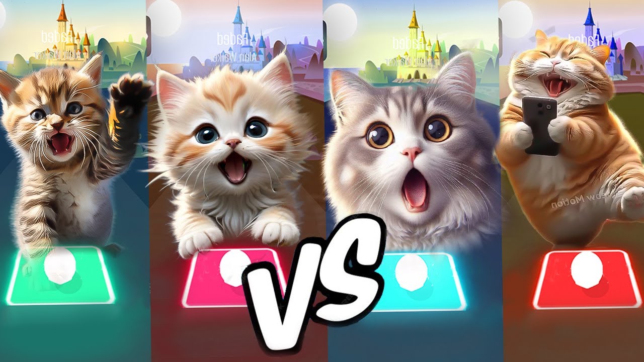 Adorable Cats Dancing to EPIC Rhythm Game Beats - YouTube