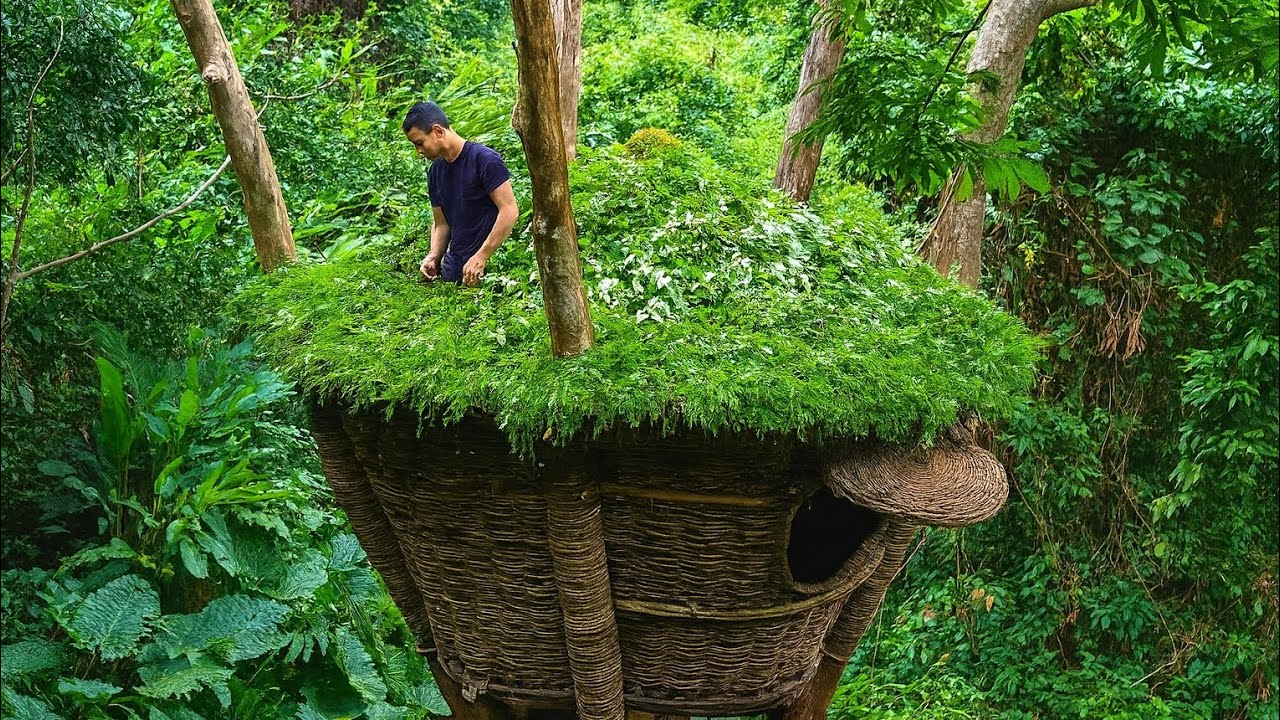 Outdoor cooking Natural Tree House Construction #TreeHouse - YouTube