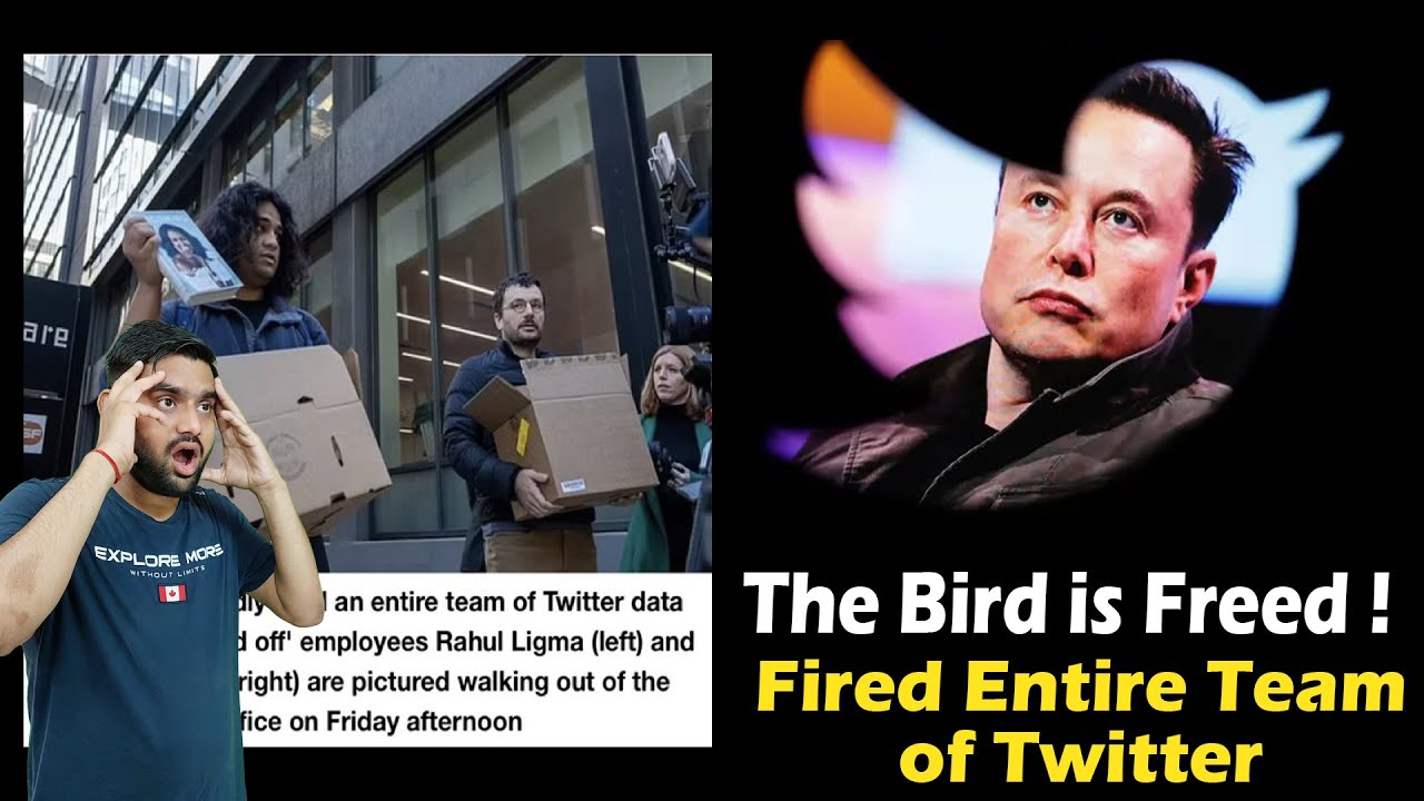 Elon Musk Tweet is "The Bird Is Freed" | What New Change in Twitter Is ...