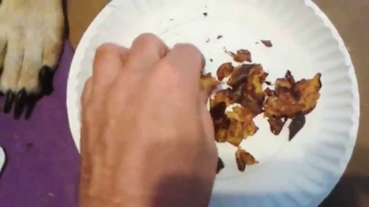 Dog Treats: Warm Crispers - YouTube