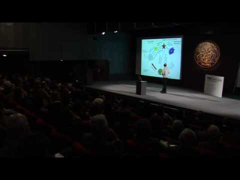 TEDxLakeComo - Alessandro Boselli - 11/04/09 - YouTube