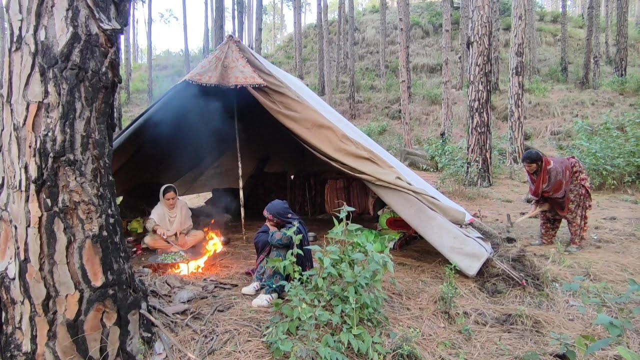 Nomadic Women Daily Hard Life | How To Cook Okra Nomadic Way | Nomads ...