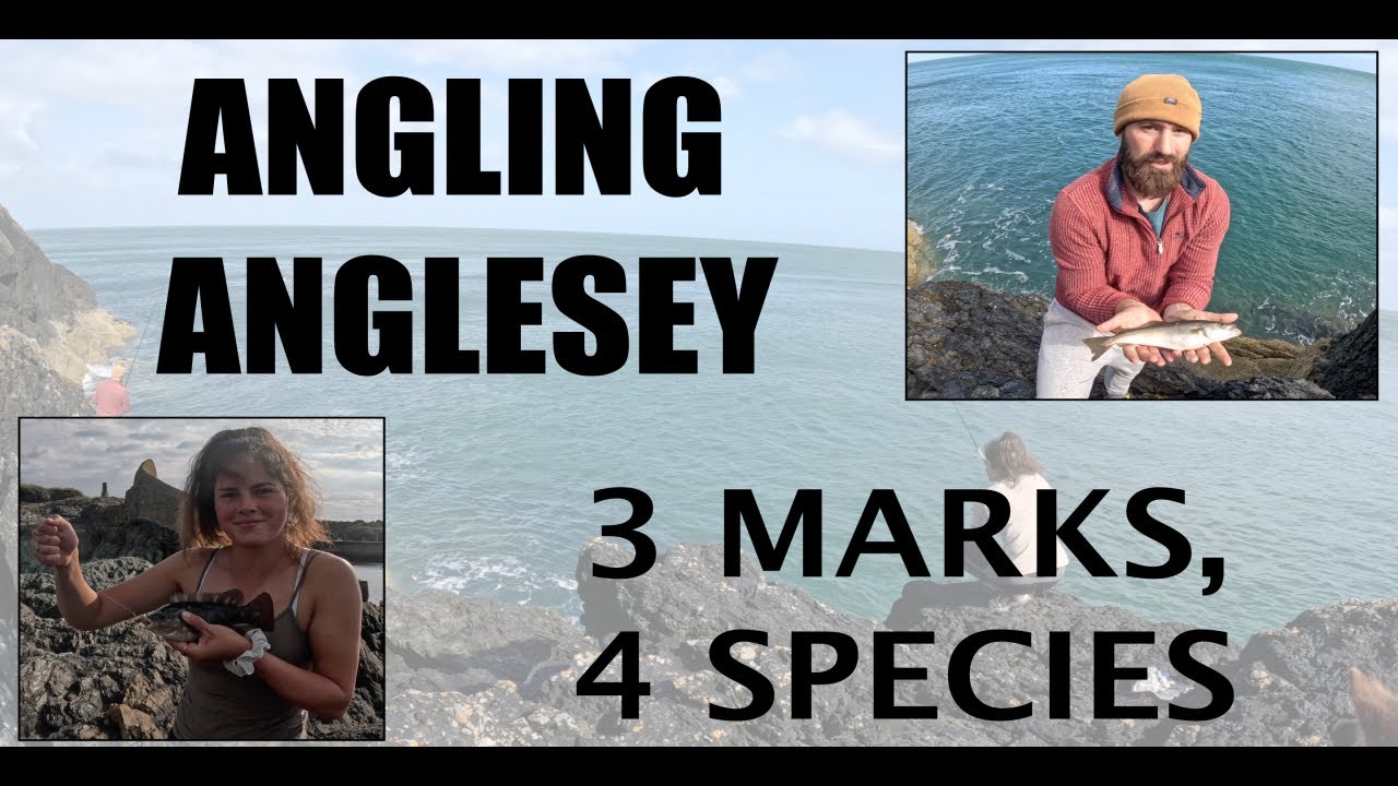 Angling in Anglesey - YouTube