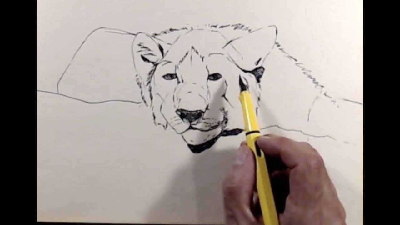 My drawing struggles - 24 (speed drawing) - YouTube