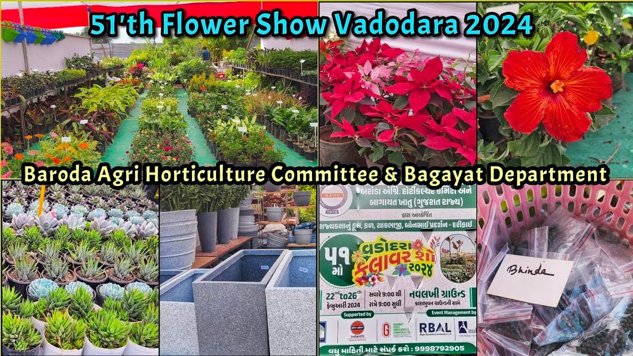 51th Flower Show Vadodara 2024 | Baroda Agri Horticulture Committee and ...