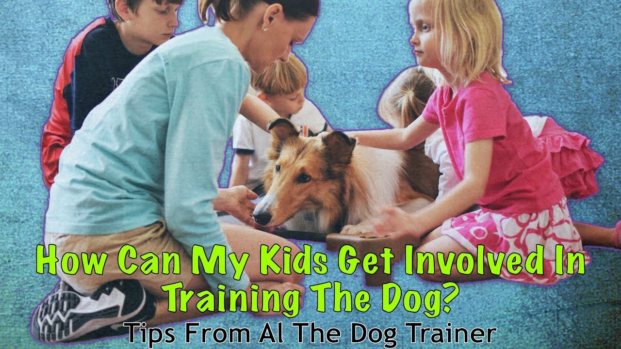 Get Your Kids Involved In Training The Dog - Tips From Al the Dog ...