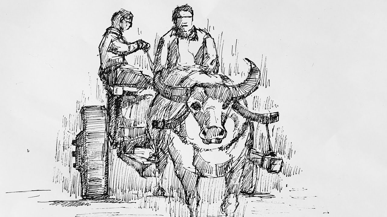 Buffalo Cart drawing step by step - YouTube