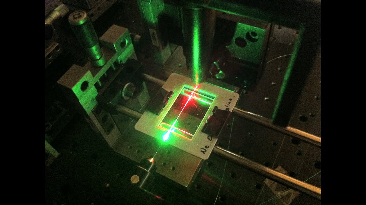 Spider silk used as a chemical detector - YouTube