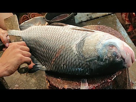 Big Katla Carp Fish Cutting In Asian Fish Market | Fish Cutting Live