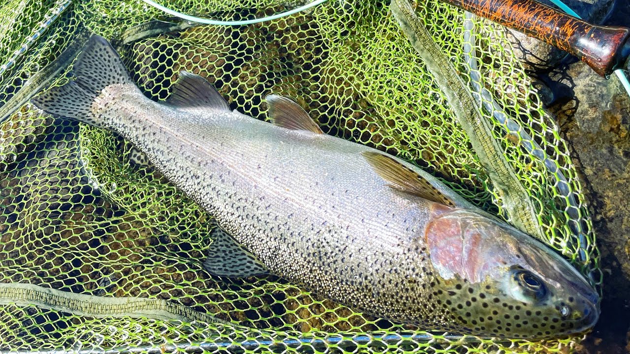 Teshio river Hokkaido 天塩川 / slow fishing - YouTube