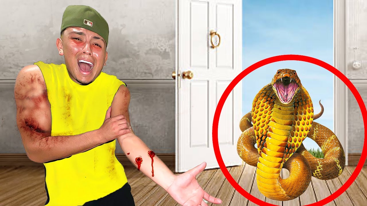 A Snake ATTACKED Me! - YouTube