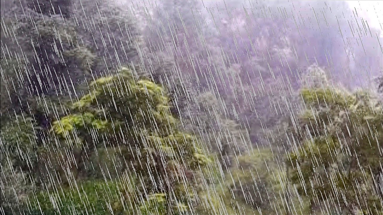 Real rain sounds for sleeping | Heavy Rain Sounds for Sleeping | 1 Hour of Relaxing Rainfall ...