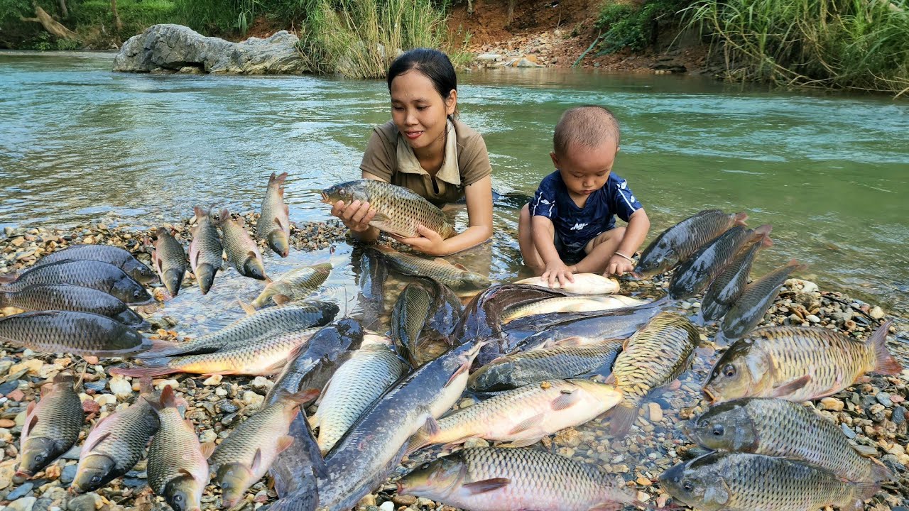 Single mother: Encountering a huge school of fish - catching fish and ...