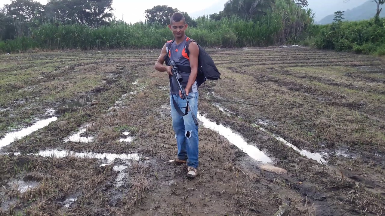 Umarex Octane 5.5 colombia ...caza palomas (venezolano cazando en ...