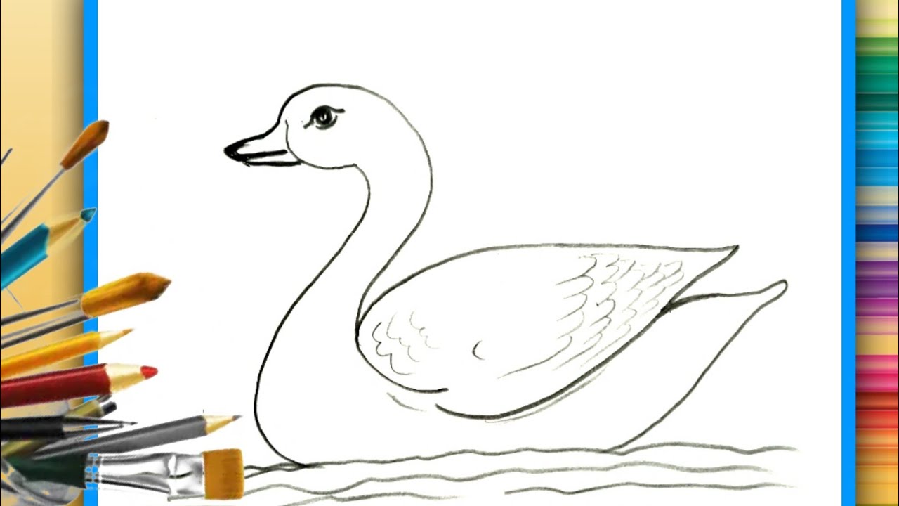 Pencil drawing and shading for beginners || Swan drawing easy - YouTube