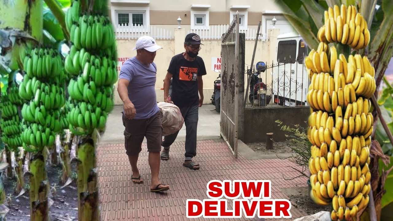 PAG-DELIVER NG SUWI NG LAKATAN | Biyaherong Batangueno - YouTube