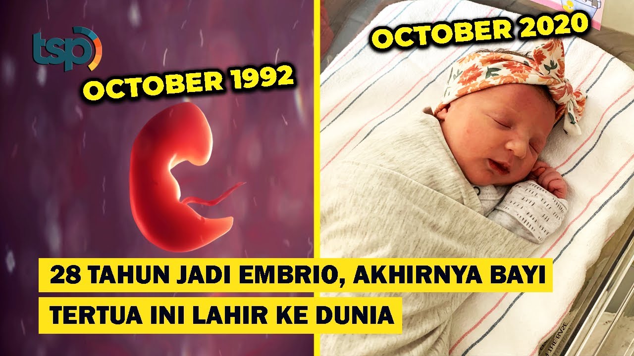 [ENG SUB] After 28 Years an Embryo, the Oldest Baby in the World was ...