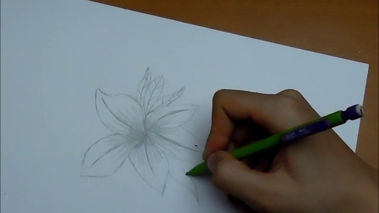 dessiner une fleur facile - YouTube