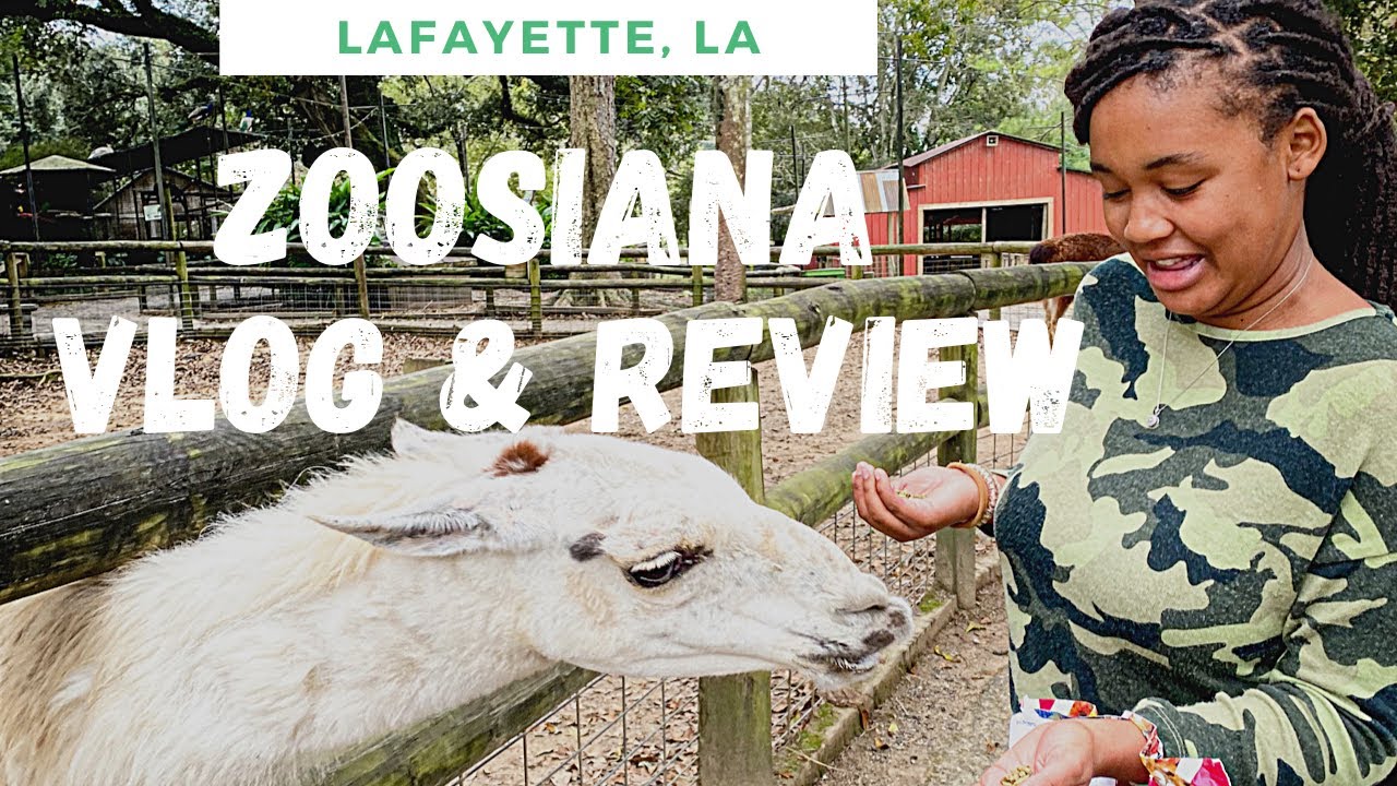 Zoosiana Review| Lafayette, LA - YouTube