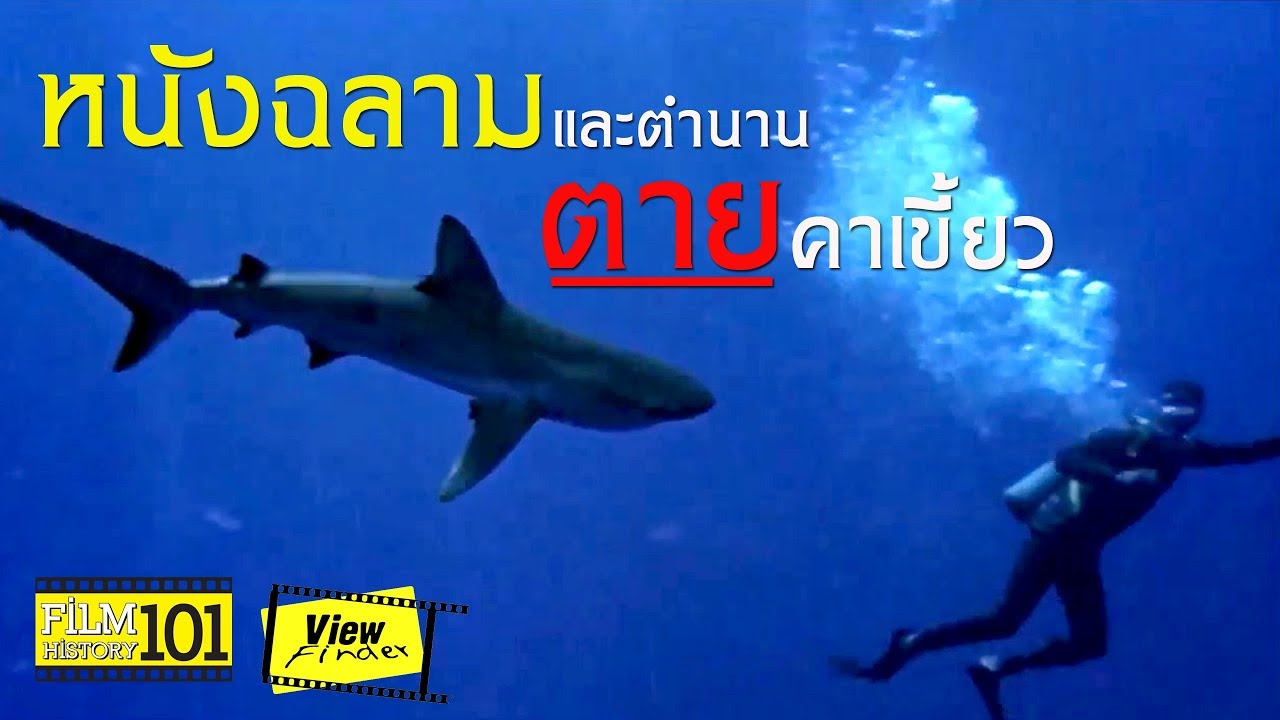หนังฉลามก่อน Jaws กับตํานาน “ตายจริงคาจอ” [ FilmHistory101 : The Meg ...