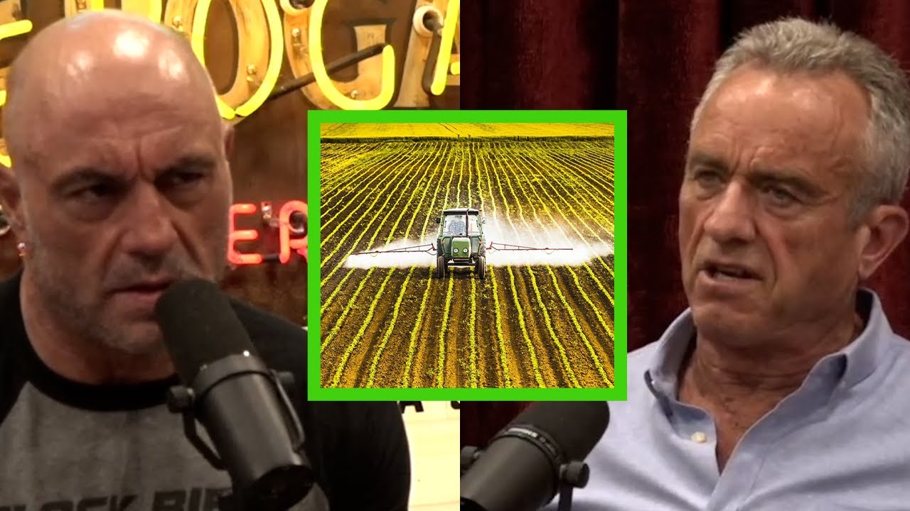 Robert Kennedy, Jr. On Suing Monsanto and The Dangers of Round-Up - YouTube