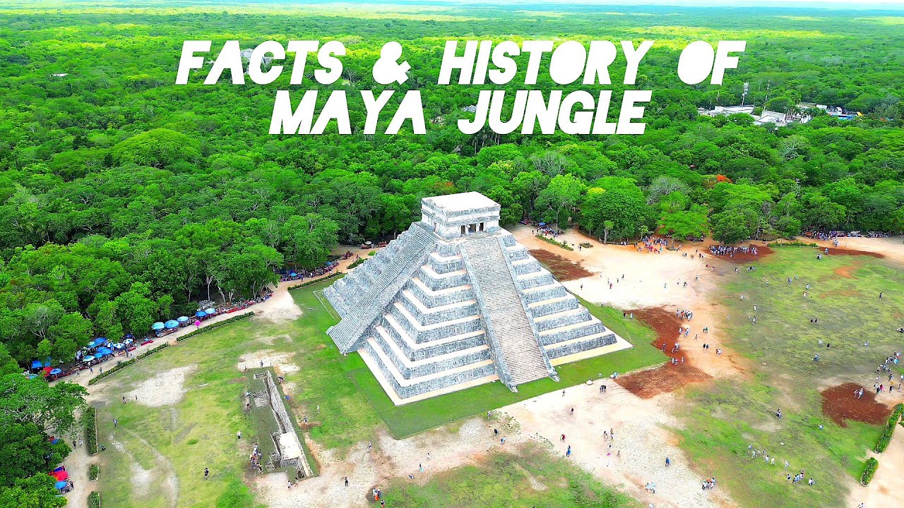 Maya Jungle Civilization Facts and History Explained - YouTube