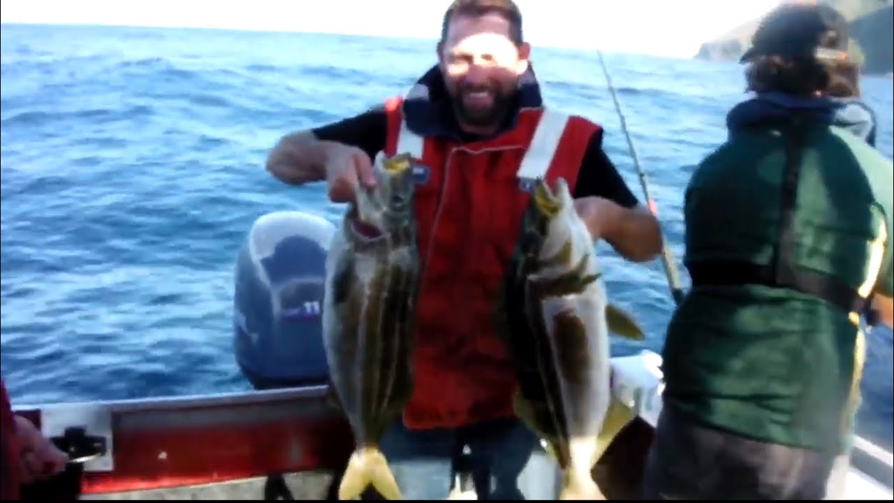 Striped trumpeter fishing Tasman peninsula - YouTube
