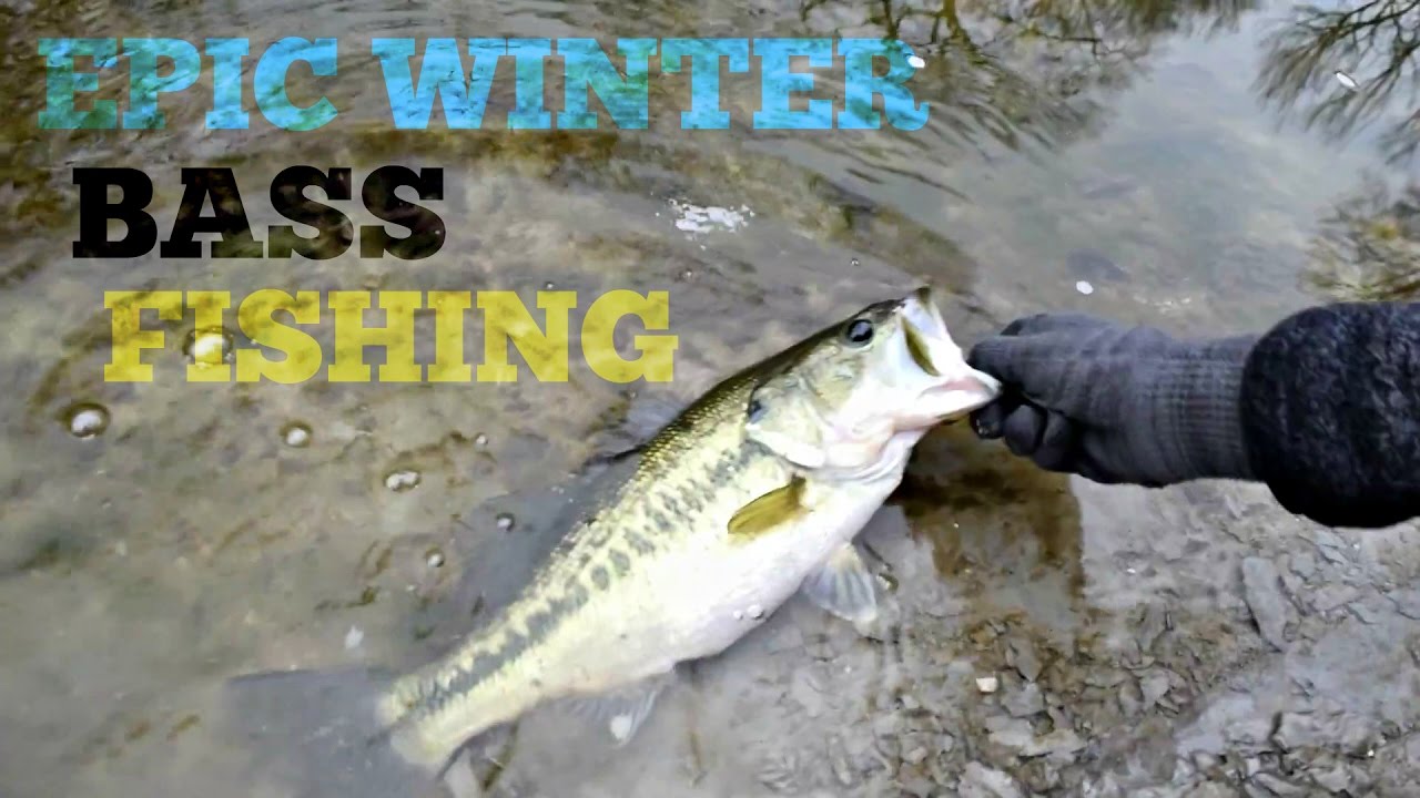 Epic Winter Bass Fishing | Largemouth Bass - YouTube