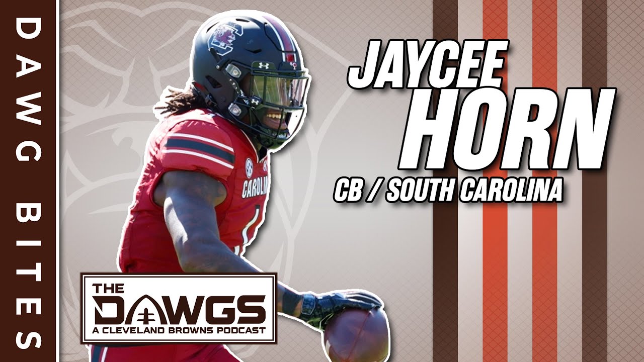 Jaycee Horn - Cornerback, South Carolina • Dawg Bites | The Dawgs - A ...