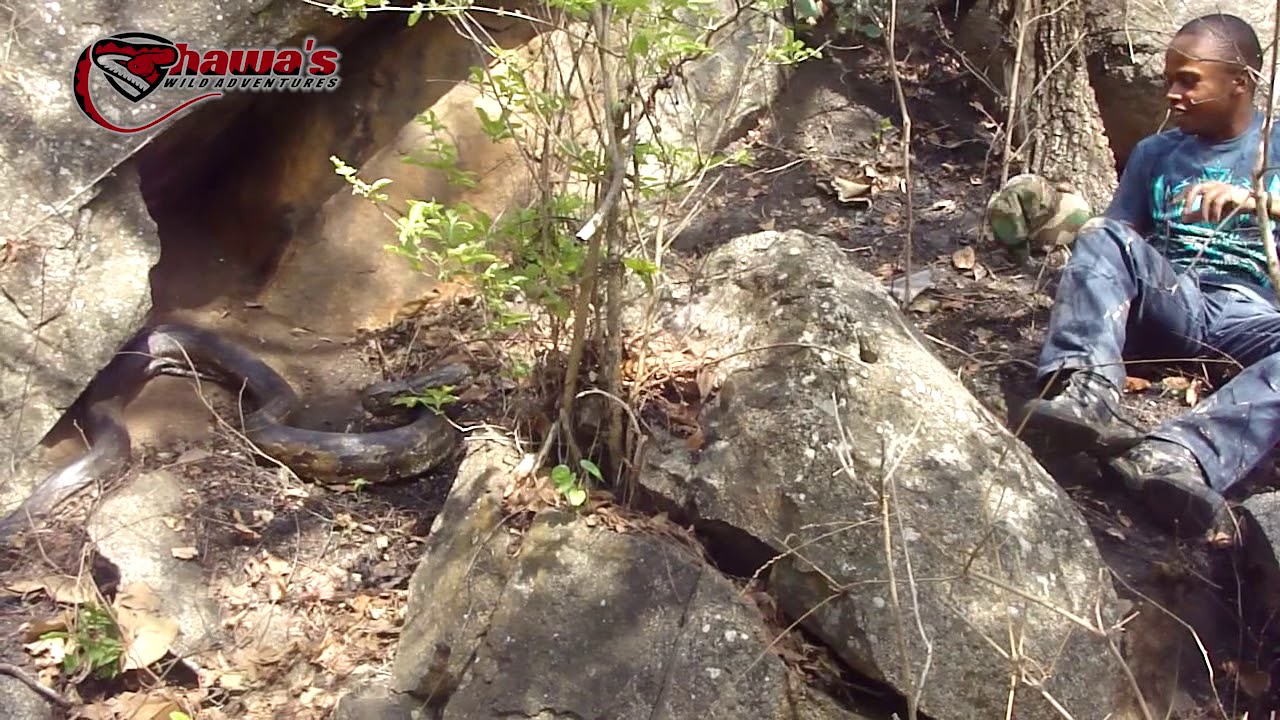 Kruger Farm Episode 1 - YouTube