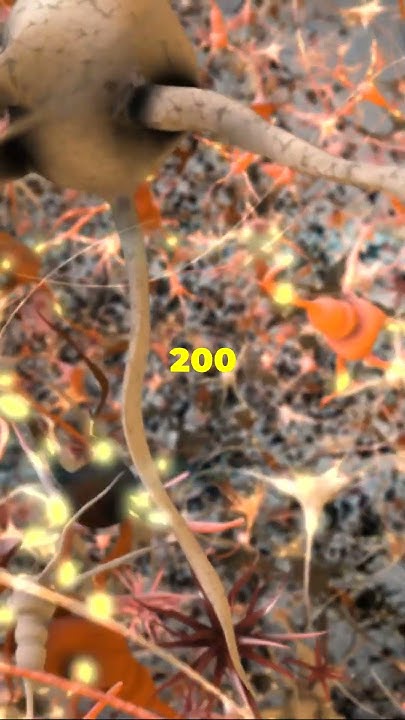 Cracking the Code: How Does Your Brain Work? [Brain Function, Neurons, Nervous System] - YouTube