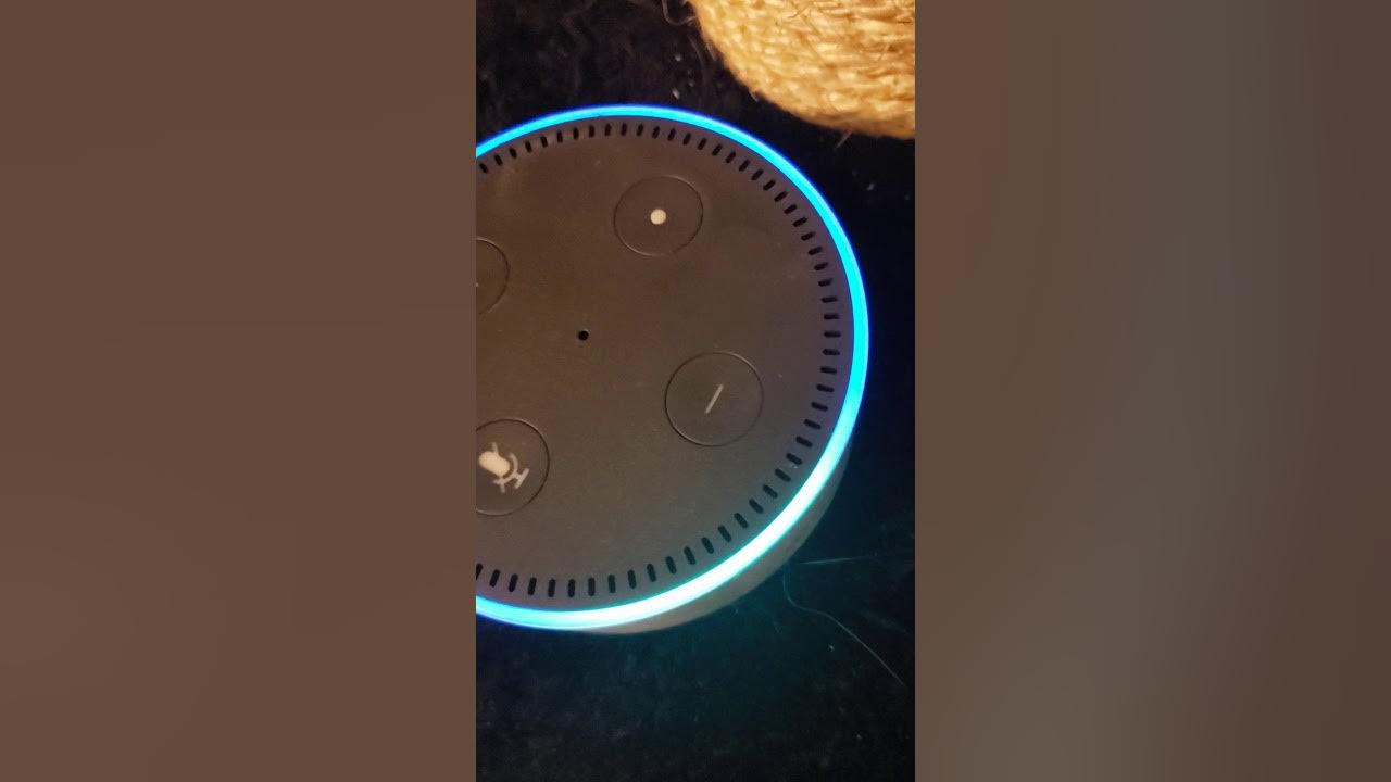 5 Things Not To Say To Alexa GONE WRONG YouTube 5-things-not-to-say-to-alexa-gone-wrong-youtube