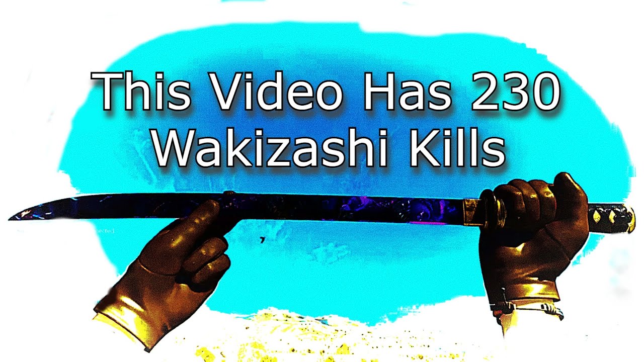 This Video Has 230 Wakizashi Kills│Cod Cold War - YouTube
