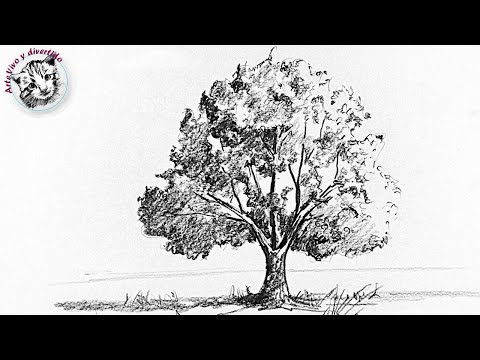 Cómo dibujar desde Cero #8 Cómo Dibujar un Árbol con lápiz