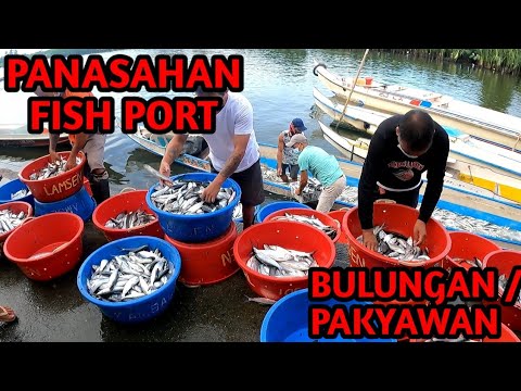 PANASAHAN FISH PORT+BAGSAKAN NG SEAFOOD - YouTube
