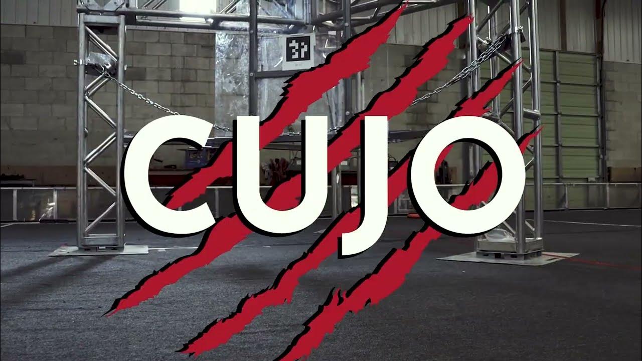 Robot Reveal 2024 - YouTube