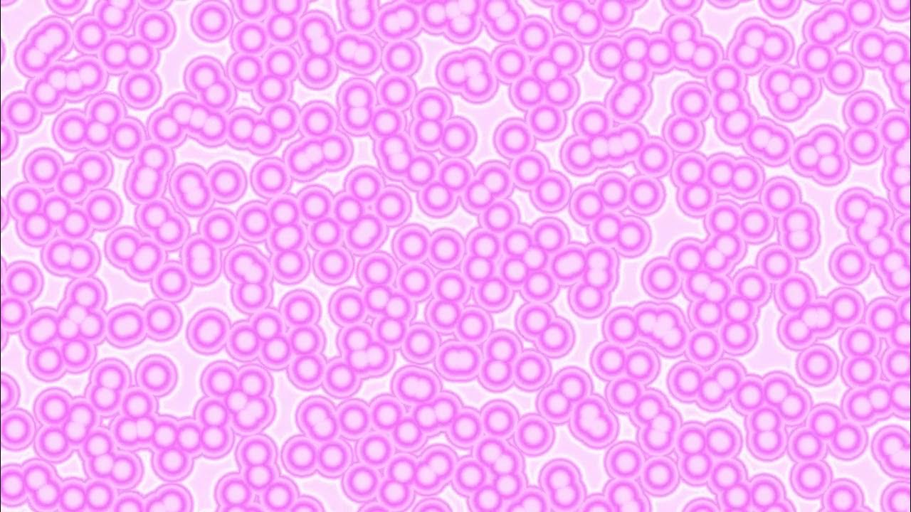 Fondo animado CIRCULOS ROSA - PINK CIRCLES animated background - PARA ...