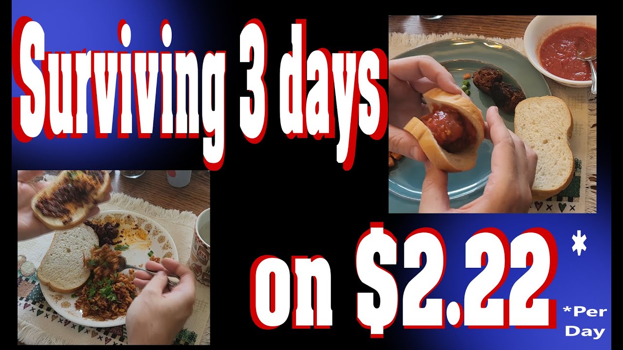 Living Off $2.22 Per Day (3days) - YouTube