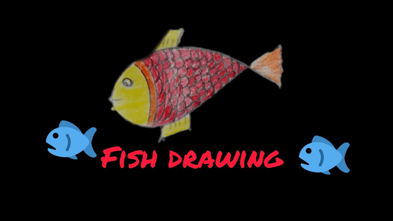 Fish drawing ||How to draw fish drawing step by step 🐟🐟🐟 - YouTube
