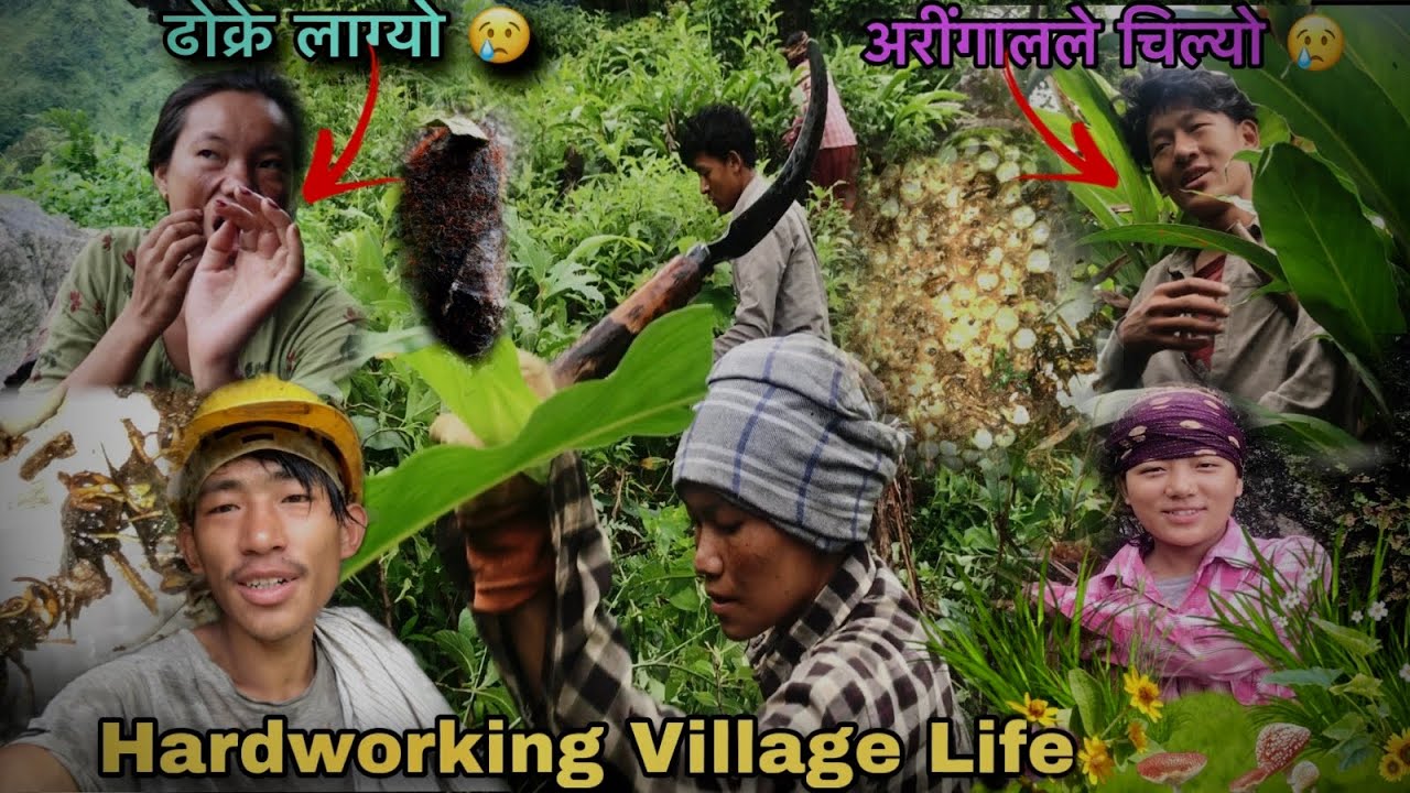 Yasto Samma Vayo Junglema Kam Garda😭 Hardworking Village Life ...