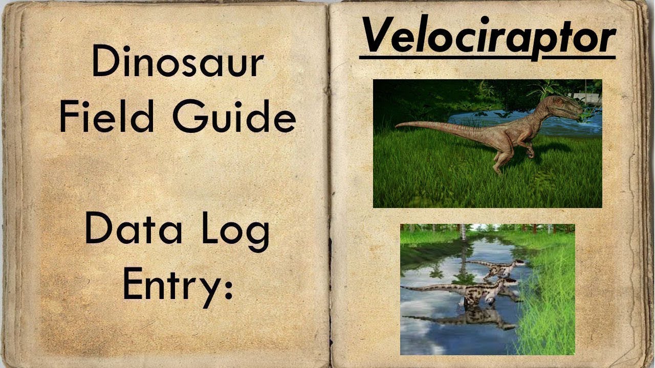Velociraptor: Habitat and Facts - YouTube