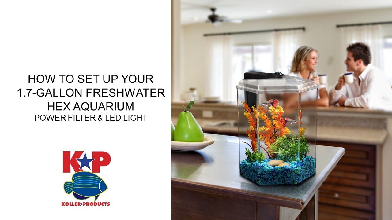 HOW TO SET UP YOUR FRESHWATER 1.5-GALLON HEX AQUARIUM WITH POWER FILTER ...