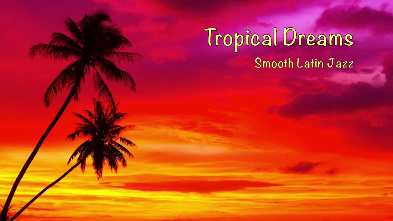 Tropical Dreams - Smooth Latin Jazz - YouTube