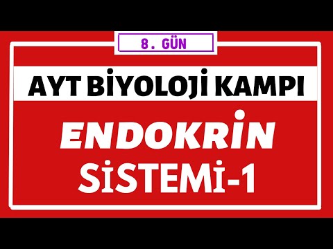 Endokrin Sistemi 1 | AYT BİYOLOJİ KAMPI | 8.gün |