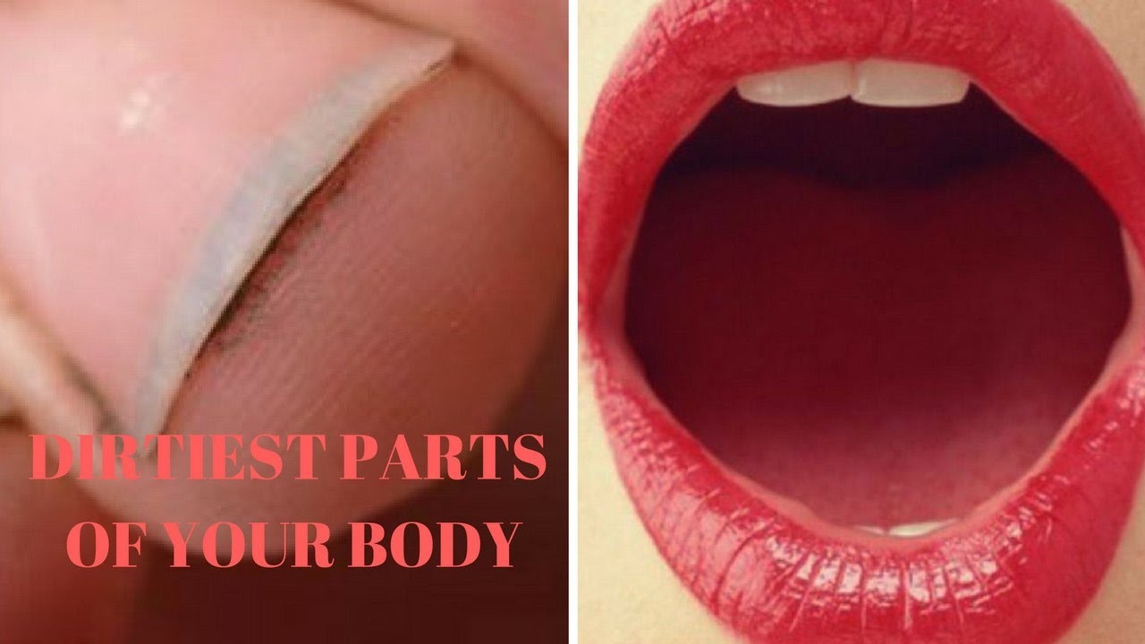 DIRTIEST PARTS OF YOUR BODY YouTube dirtiest-parts-of-your-body-youtube