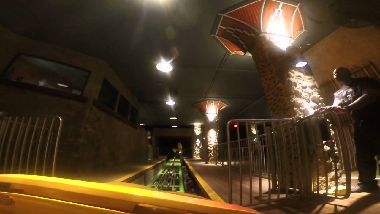 Cheetah Hunt night time ride - YouTube