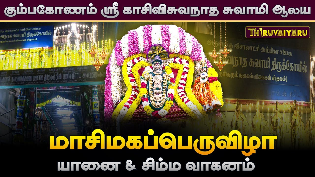 கும்பகோணம் ஸ்ரீ காசிவிசுவநாதசுவாமி ஆலய மாசிமகப்பெருவிழா யானை & சிம்ம ...