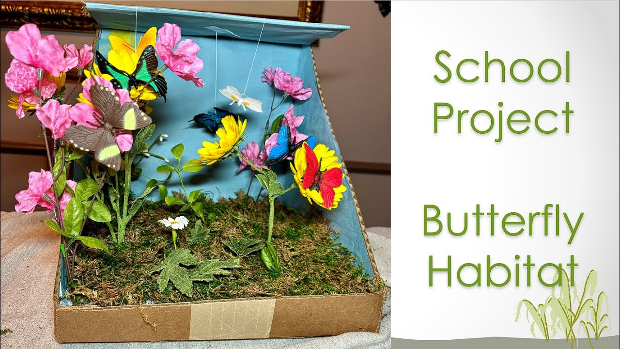 Butterfly Habitat Project Brilliant Butterflies Habitat Creation