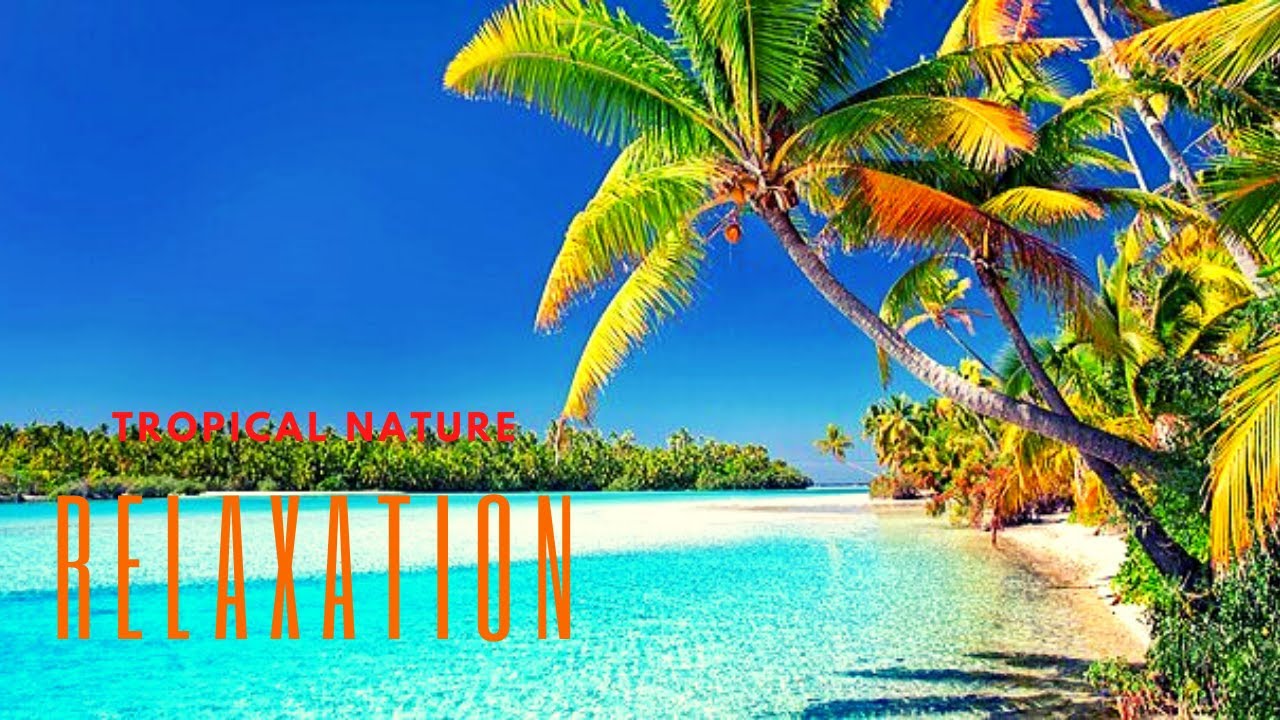 🎧Relaxing Tropical Zen Ambient Ocean Sounds for Deep sleep #ASMR 1HR ...