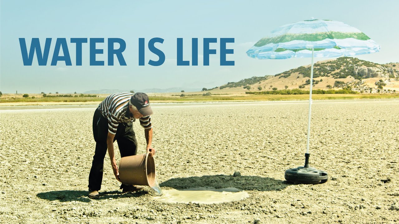 Water is life - Bande annonce SalamandreTV - YouTube